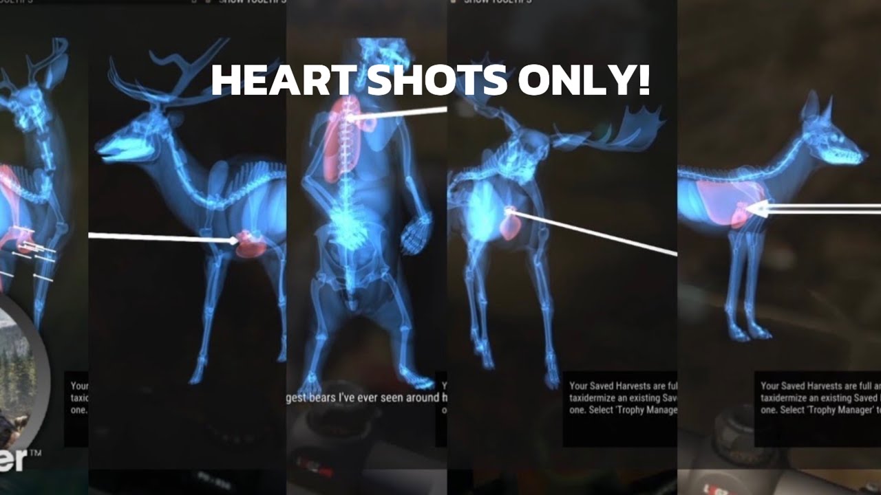 Heart Shots Only Challenge did not go well - YouTube