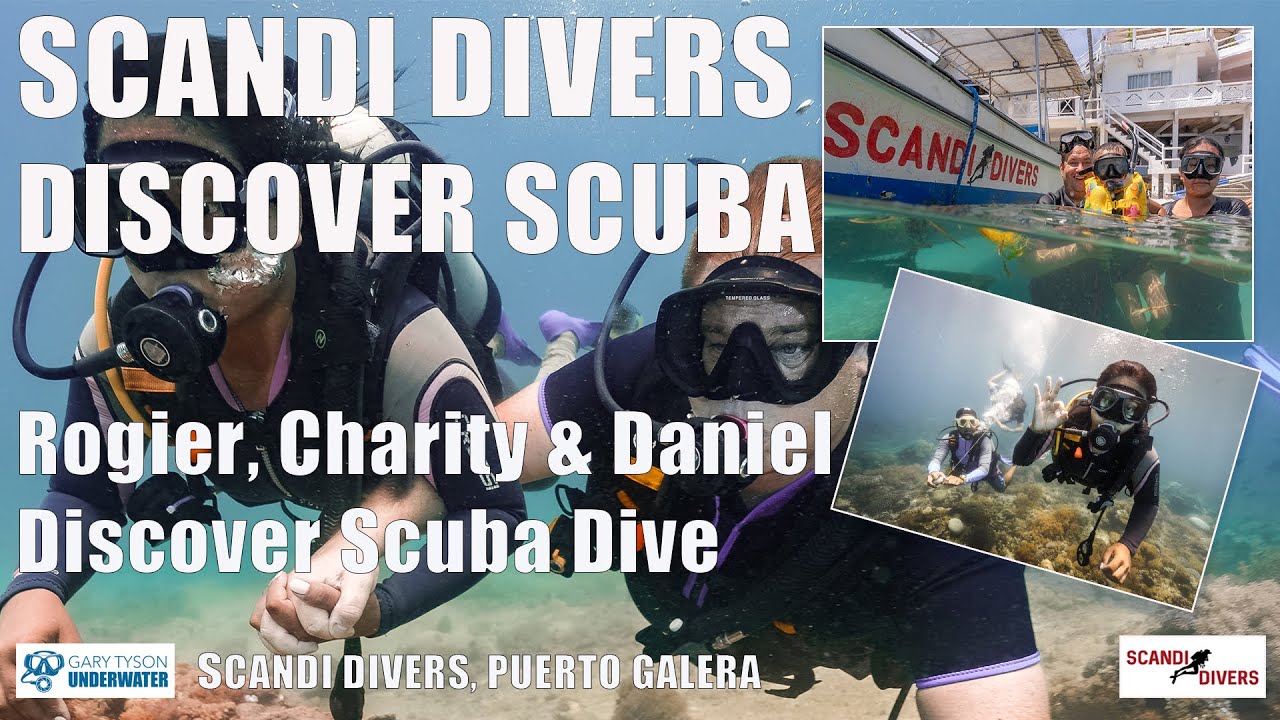 Scandi Divers Family Discover Scuba Dive - YouTube