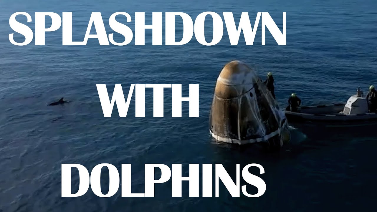 Splashdown With Dolphins - YouTube