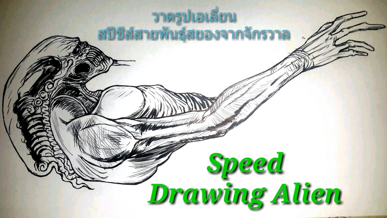 (คลิปที่795)วาดรูปเอเลี่ยนสปีชีส์สายพันธุ์สยองจากจักรวาล ( Speed ...