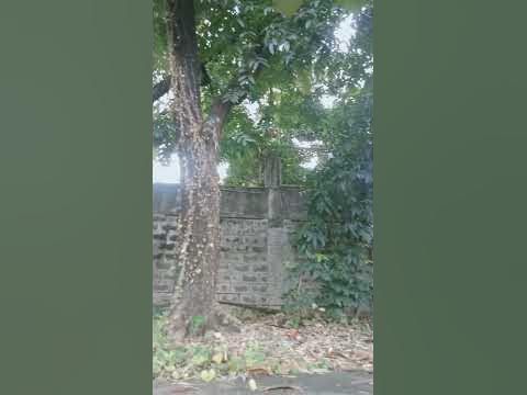 yong bahay na Yan kakaibang ingay abandunado na xa #shortvideo #vlog #fypシ - YouTube