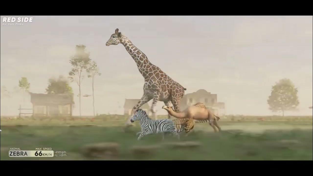 Animal Speed Comparison With A Bonus Video - YouTube