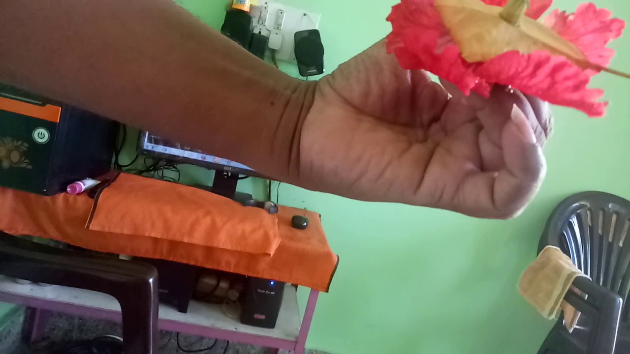 Amazing It's real flower today milahai patta ke uper Unbelievable ...