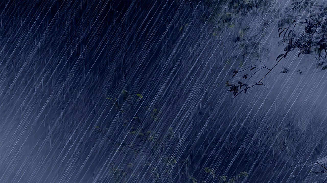 Fall Asleep Immediately with Hurricane, Howling Wind & Heavy Rain at ...