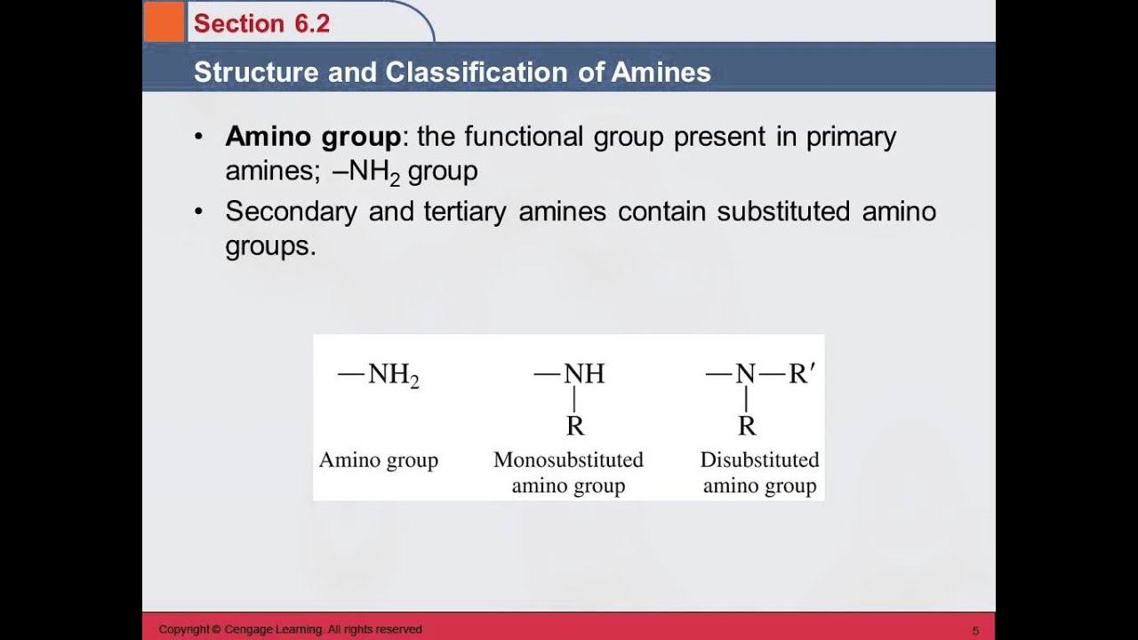 3B 6.2 Structure & Classification of Amines - YouTube