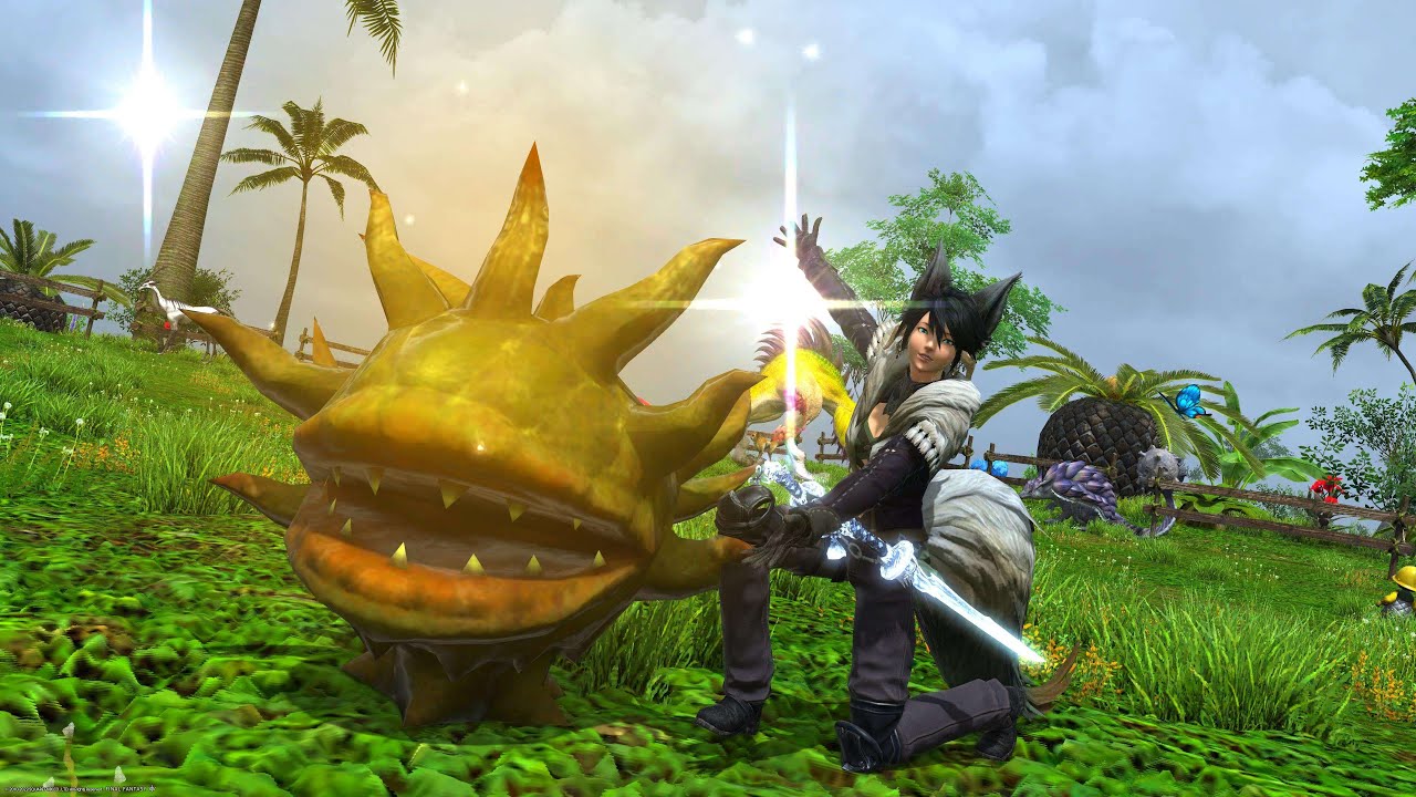 FFXIV morbol seedling location for island sanctuary - YouTube