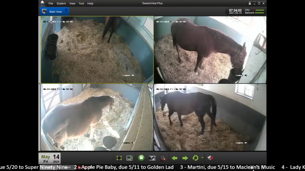 Country Life Foaling Cameras - YouTube