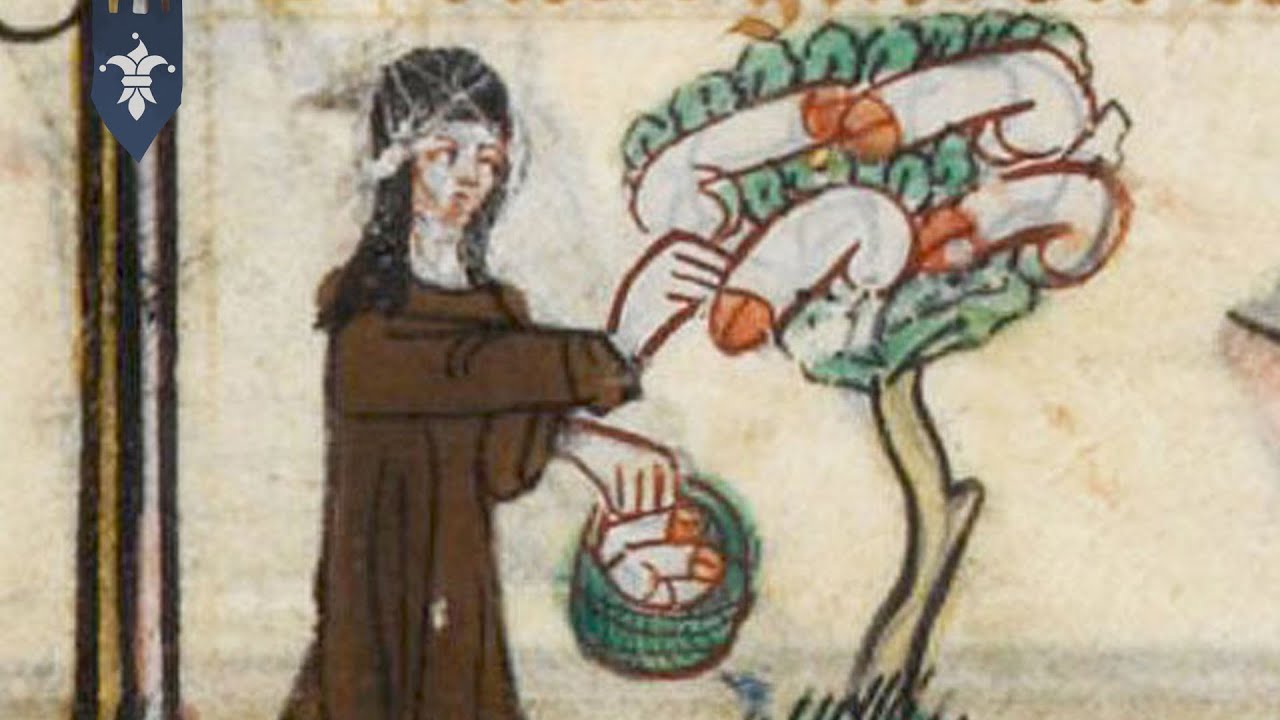 A Hilarious Compilation Of Naughty And Weird Medieval Art You Cant Unsee Youtube
