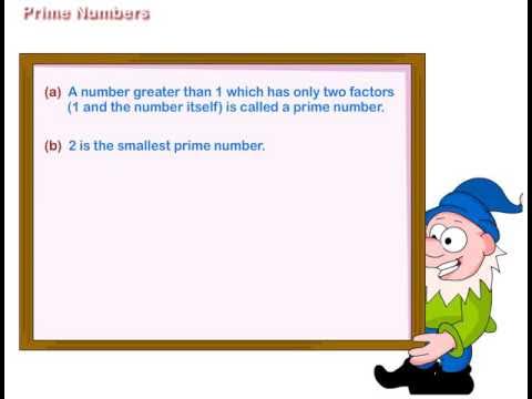 Prime Numbers - YouTube