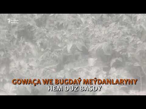 Daşogzy, Lebaby duzly apy-tupan gurşap aldy