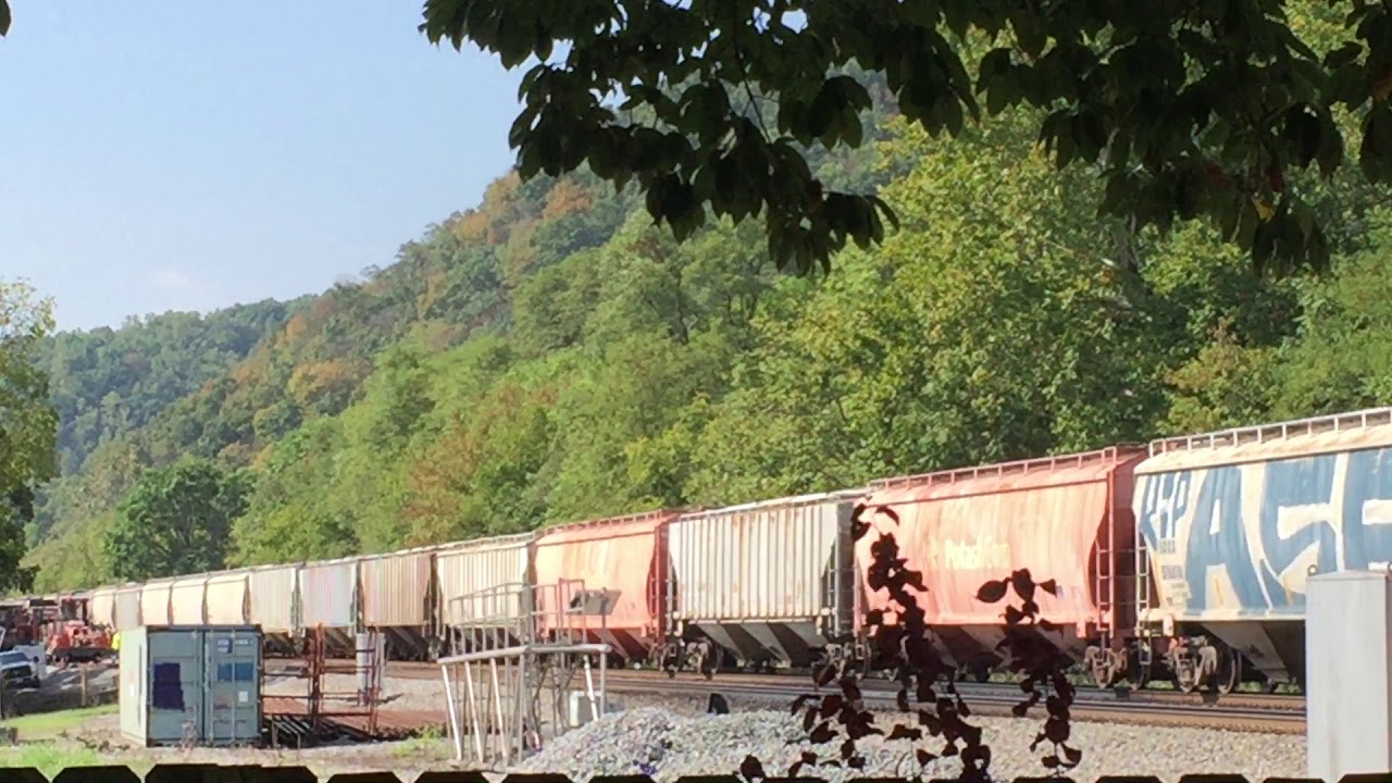 GEVO Leads NS 51T - YouTube