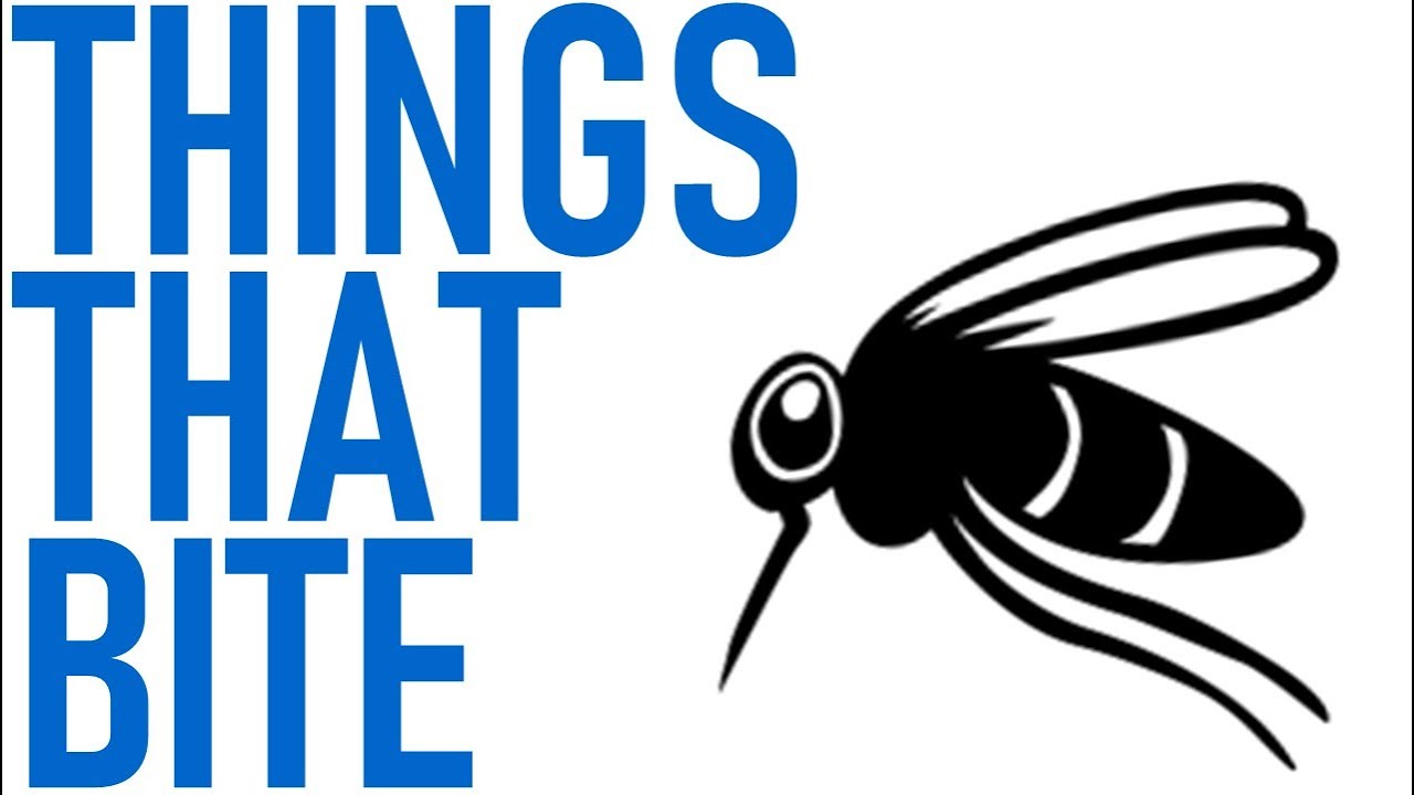 Things That Bite - YouTube