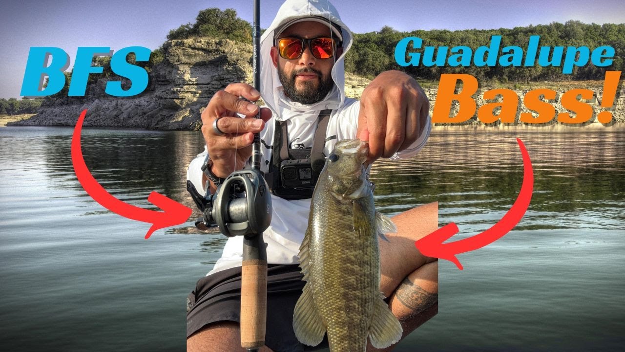 BFS Setup Pays Off, Catching Aggressive GUADS - YouTube
