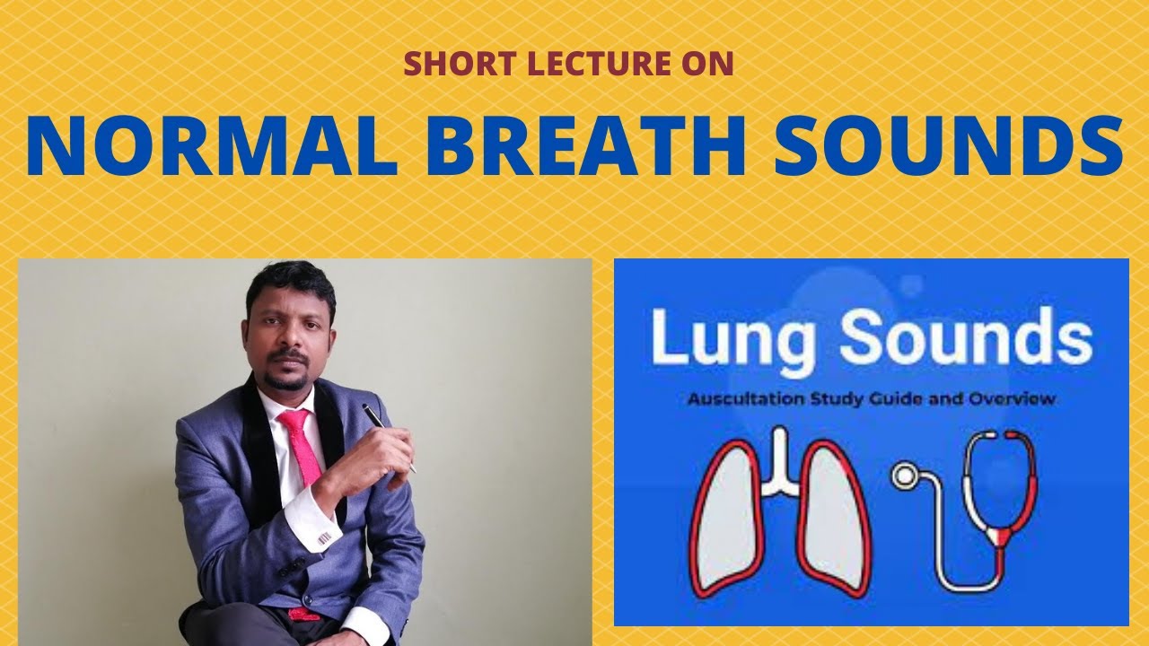 NORMAL BREATH SOUNDS -(Vesicular , Bronchial , Bronchovesicular Breath ...
