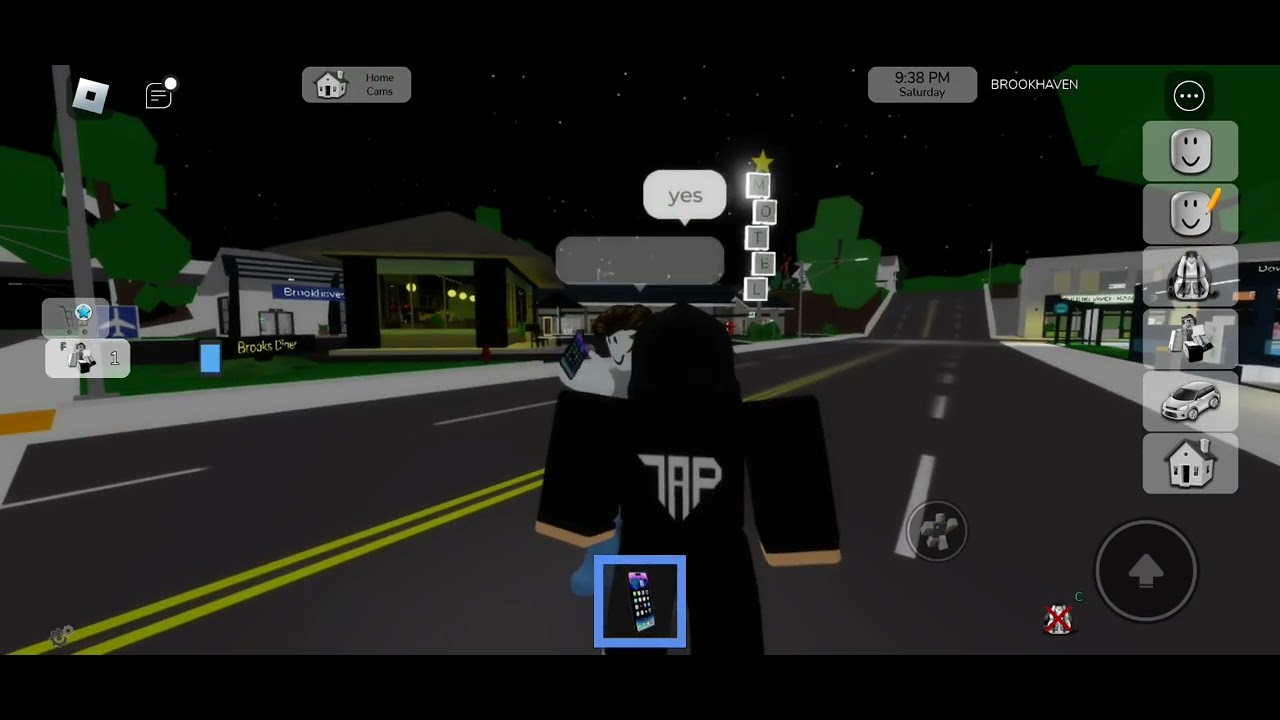 Today I was playing roblox brookhaven rp and saw tappy - YouTube