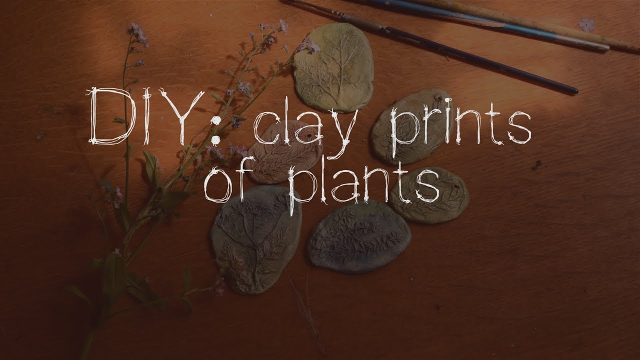 DIY: clay prints of plants - YouTube