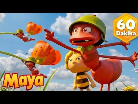 Karınca Devriyesi Ara Veriyor 🐜 | 🐝 Arı Maya | Çocuklar İçin Çizgi Film
