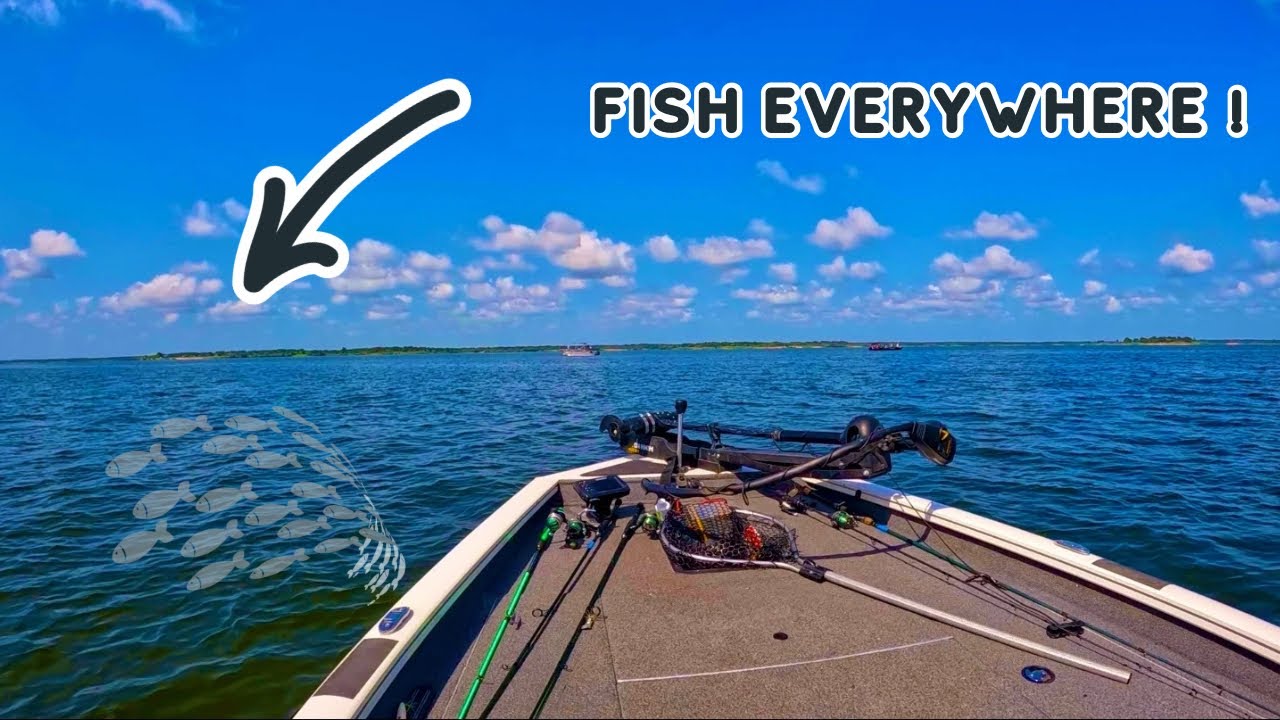 Overlooked Texas lake is FULL of fish! (How to catch them though ...