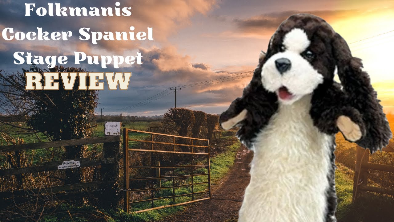 Folkmanis Cocker Spaniel Stage Puppet Review #puppet #cockerspaniel # ...