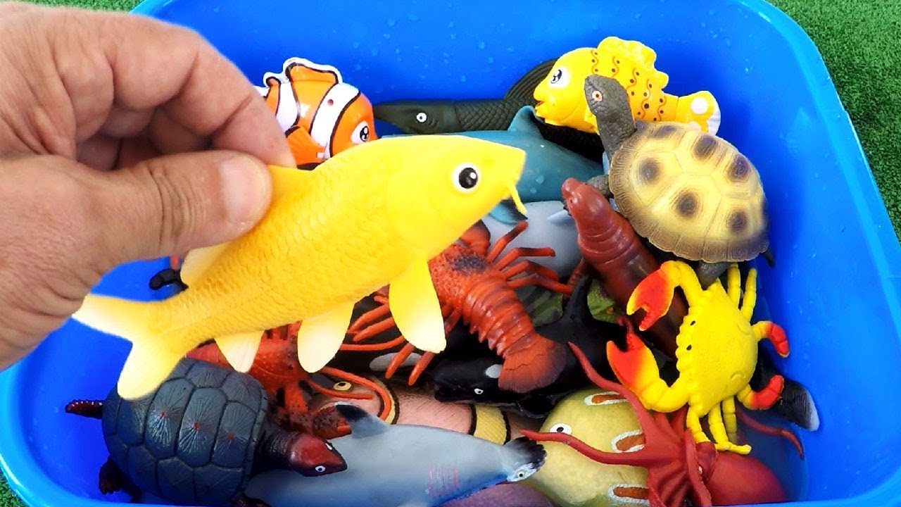 Learn Colors With Wild Animals Box of Toys and Farm animals Sea Animal ...