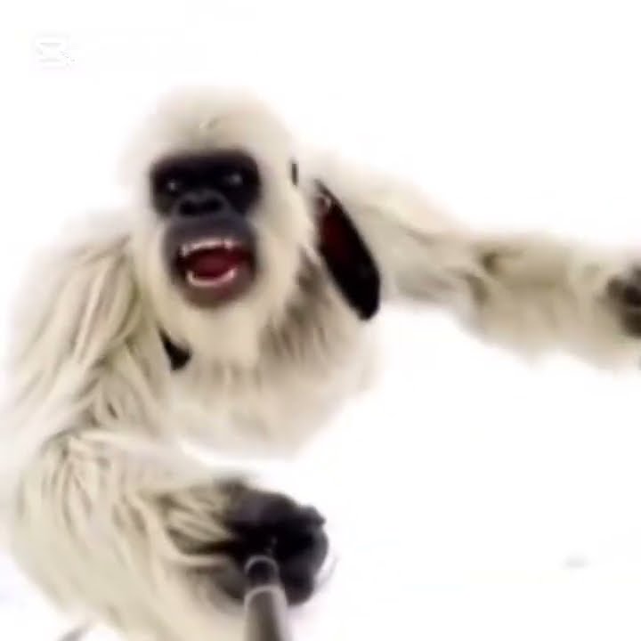 el loco blanco edit🔥🔥🔥 - YouTube