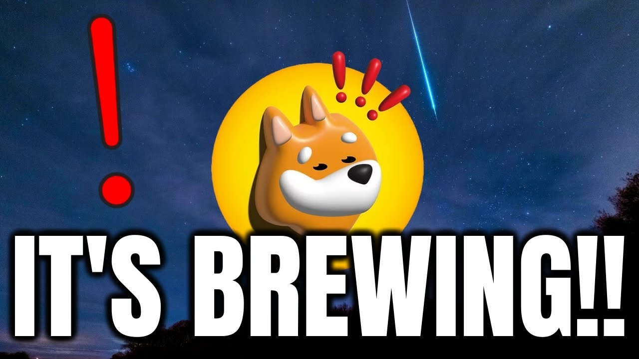 BONK TOKEN HOLDERS GET READY, HERE IS WHY !!!!!!! | HUGE UPDATE | BONK ...