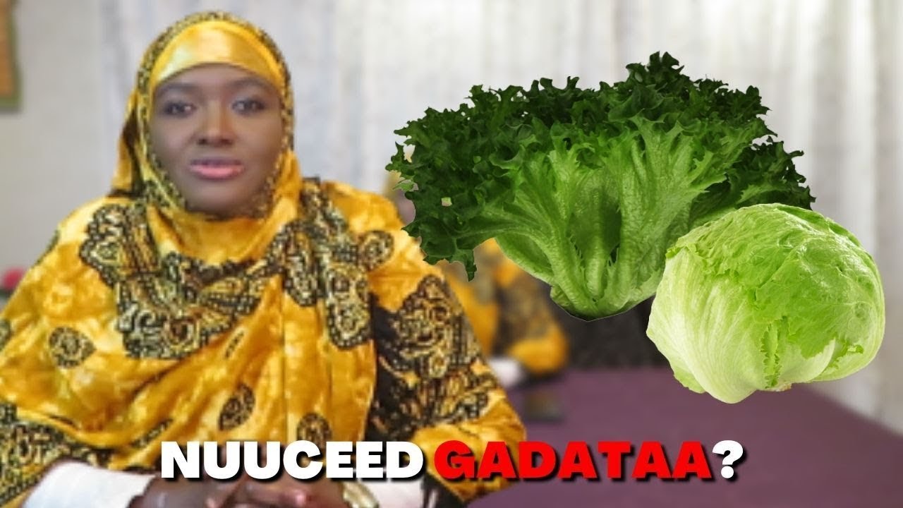 SAACAD GUDAHEEDA SAXARADA ISAGA SOO SAAR, CALOOSHA MAKU FADHISAA? - YouTube