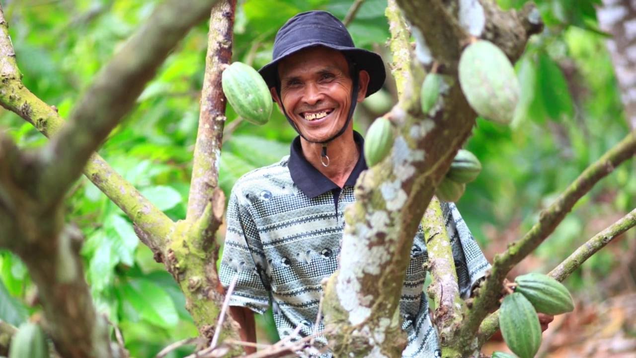 Introduction to Sustainability at Olam - YouTube