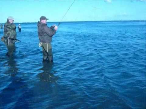 Canterbury Local Fishman Catches A Good Salmon at the Local Mouth.www ...