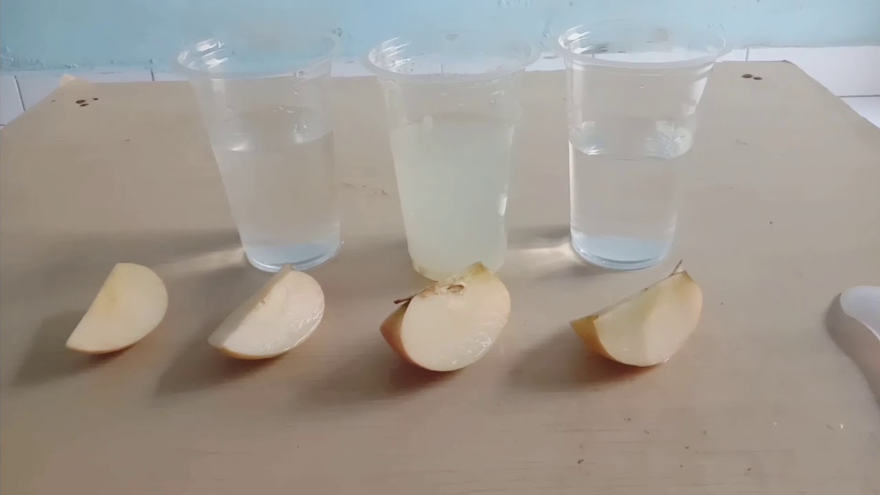 Praktikum Reaksi Oksidasi Pada Apel - YouTube