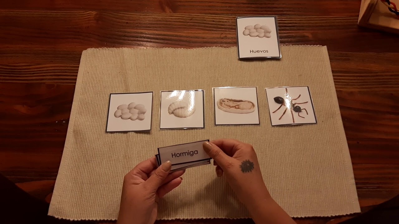 TARJETA DE TRES PARTES - YouTube