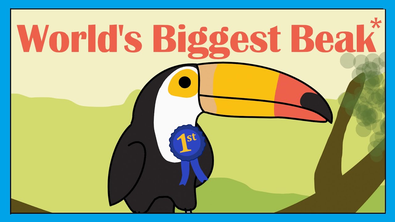 Toucan Song - Fun Dancing Bird Song for Kids | Smiley Rhymes - YouTube