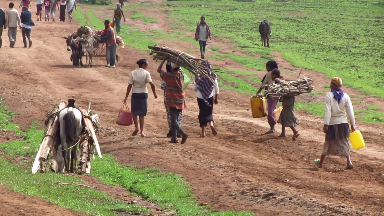Discover life in Gambo, rural Ethiopia - YouTube