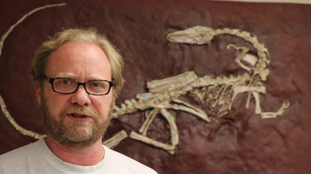 Pentaradial symmetry in echinoderms - YouTube