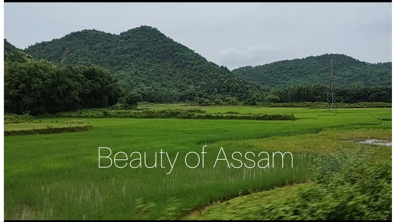 beautiful Assam, short train journey - YouTube