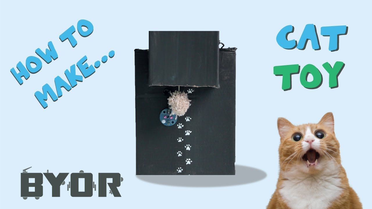 Instructional video: Automatic cat entertainer - YouTube