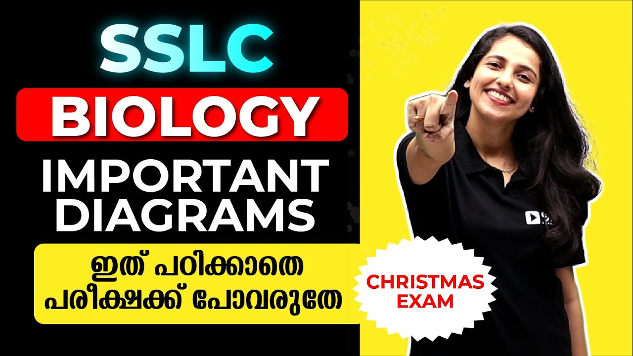 SSLC CHRISTMAS EXAM IMPORTANT DIAGRAMS | EXAM WINNER - YouTube