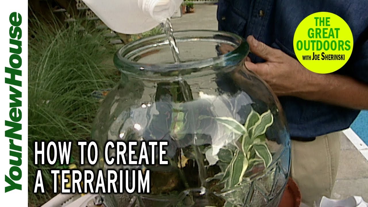 Build Your Own Terrarium - YouTube