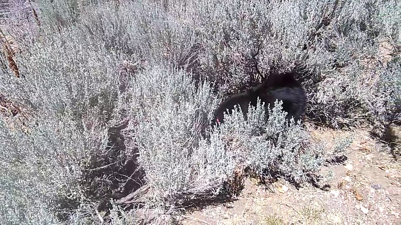 Argo With Merk Utah/Wyo line - YouTube
