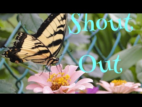 🌱 Shout Out Wednesdays 🌱 #shoutout @groundskeepercody6013 🌱 - YouTube