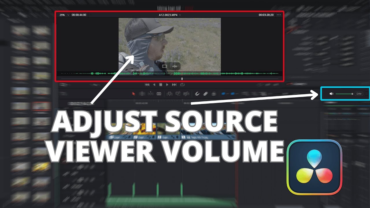 How to Adjust Volume in the Source Viewer in Davinci Resolve - YouTube