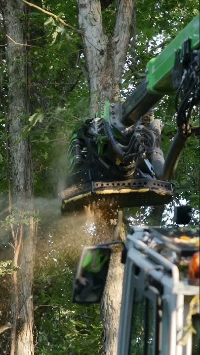 Our Sennebogen 718E in Action! #short #shorts #treework #rightofway #clearing - YouTube