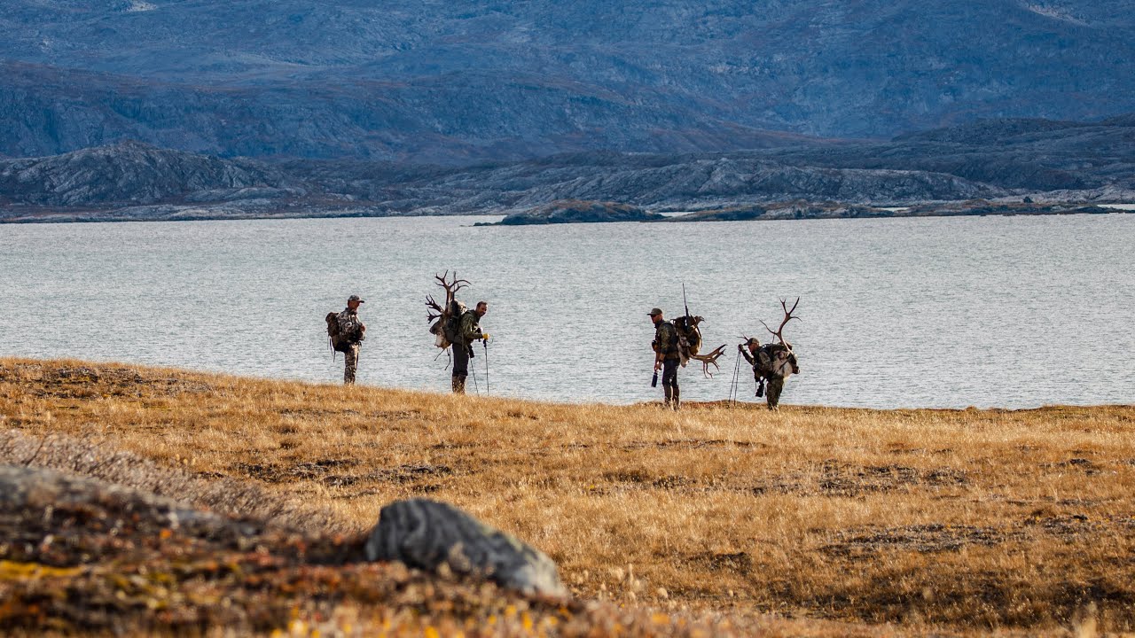 71° North - A Greenland Hunting Adventure - YouTube