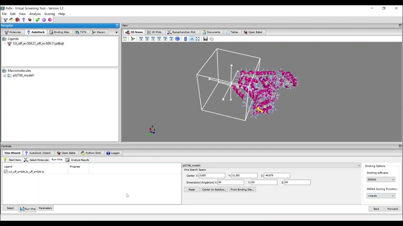 PyRx 1.2 - SMINA - Improved Molecular Docking Engine With PyRx - YouTube
