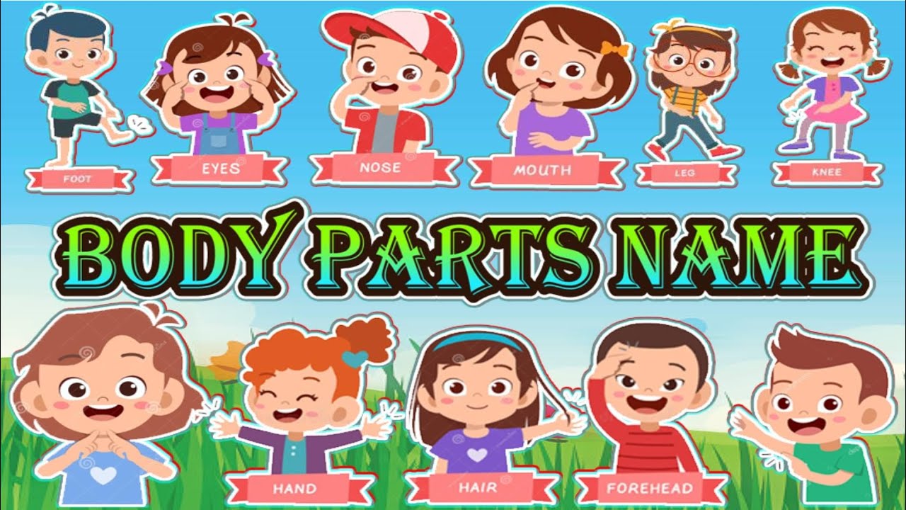 Learn Body Parts for Kids! 🧠🖐️🦶 Fun & Easy Way to Learn Human Body ...