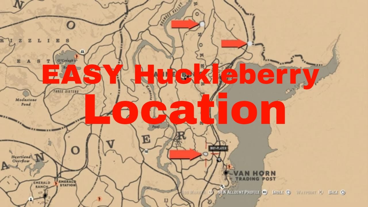 EASY Huckleberry Location on Rdr2 online - YouTube