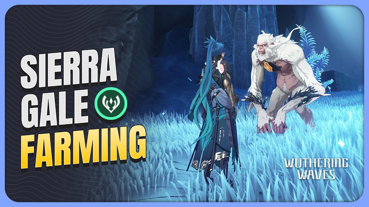 [With Route Map] Complete Sierra Gale 3-Cost Echo Farming Guide | Wuthering Waves 1.0 - YouTube