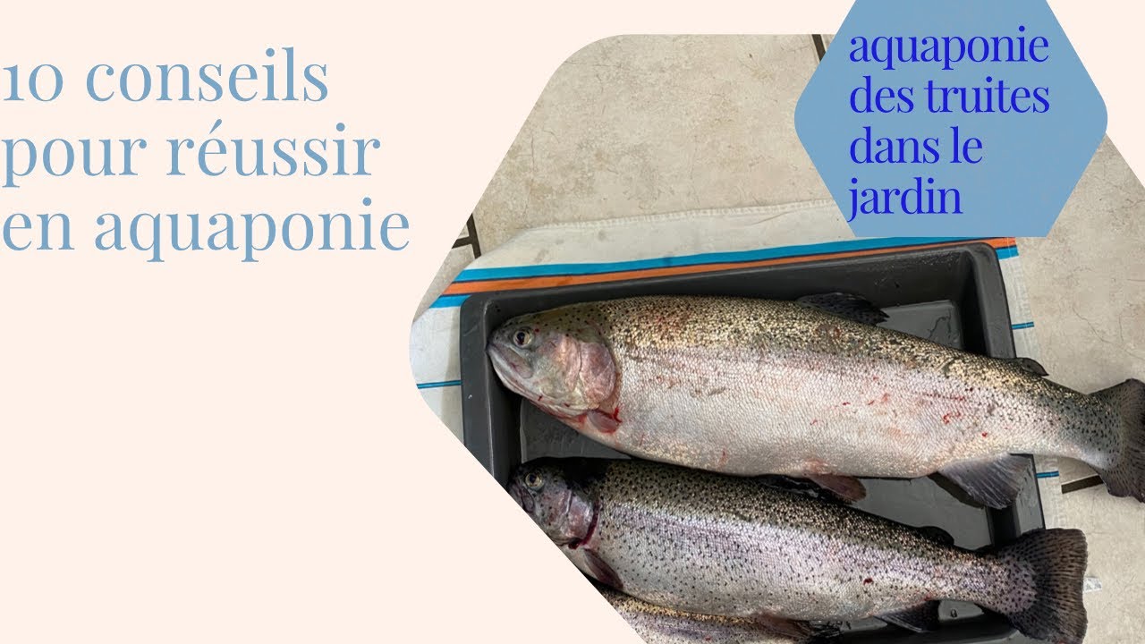 10 conseils pour réussir en aquaponie avec des truites - YouTube