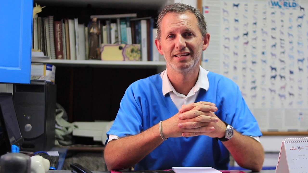 Doctor Rodrigo Crossley, Médico Veterinario, especialista en Oncología ...