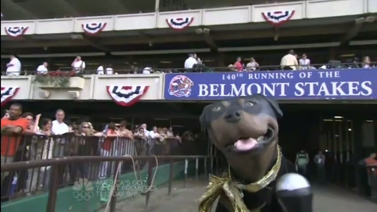 Conan Travels - "Triumph the Insult Comic Dog visits the 2008 Belmont ...